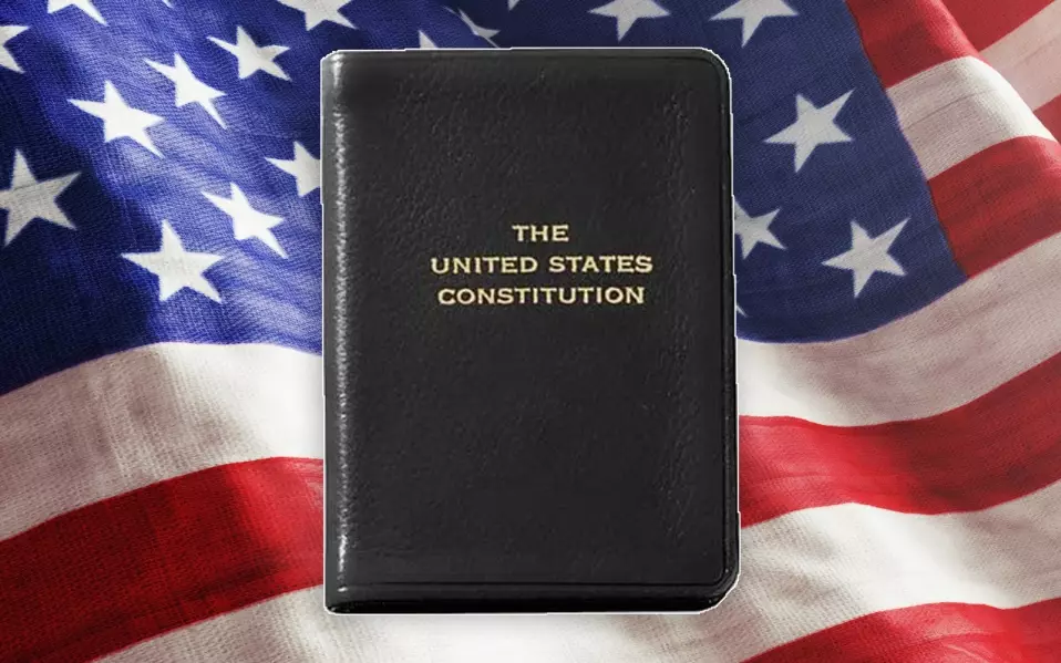 mini constitution