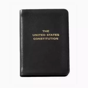 мини Конституция