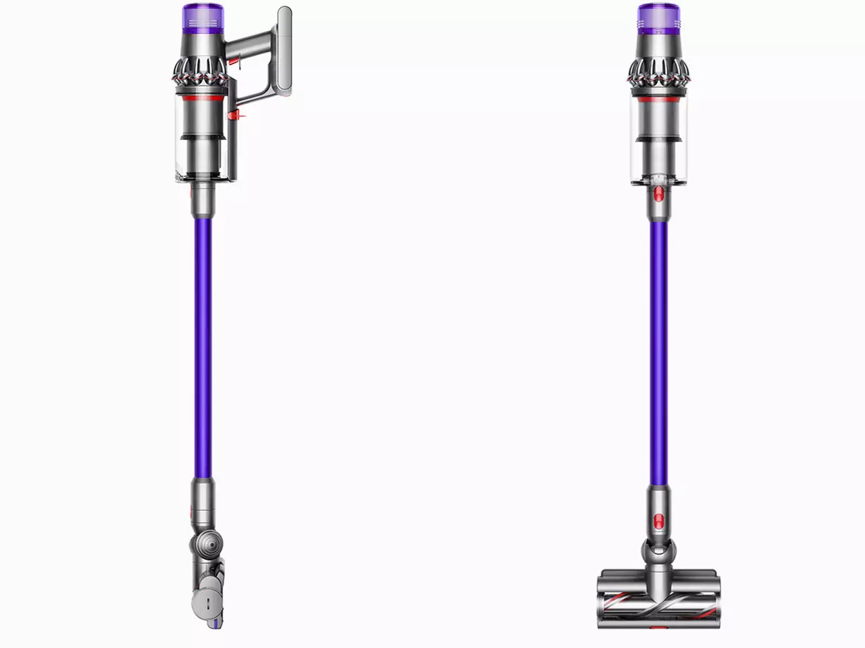 recensione del vuoto animale dyson v11