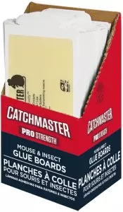 Catchmaster Glue Boards, jak se zbavit švábů