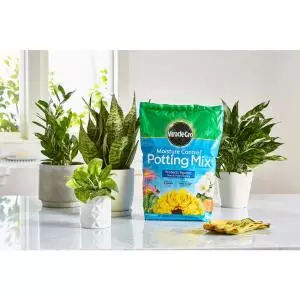 beste potgrond wonder-gro