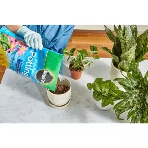 best potting axa miracle-gro