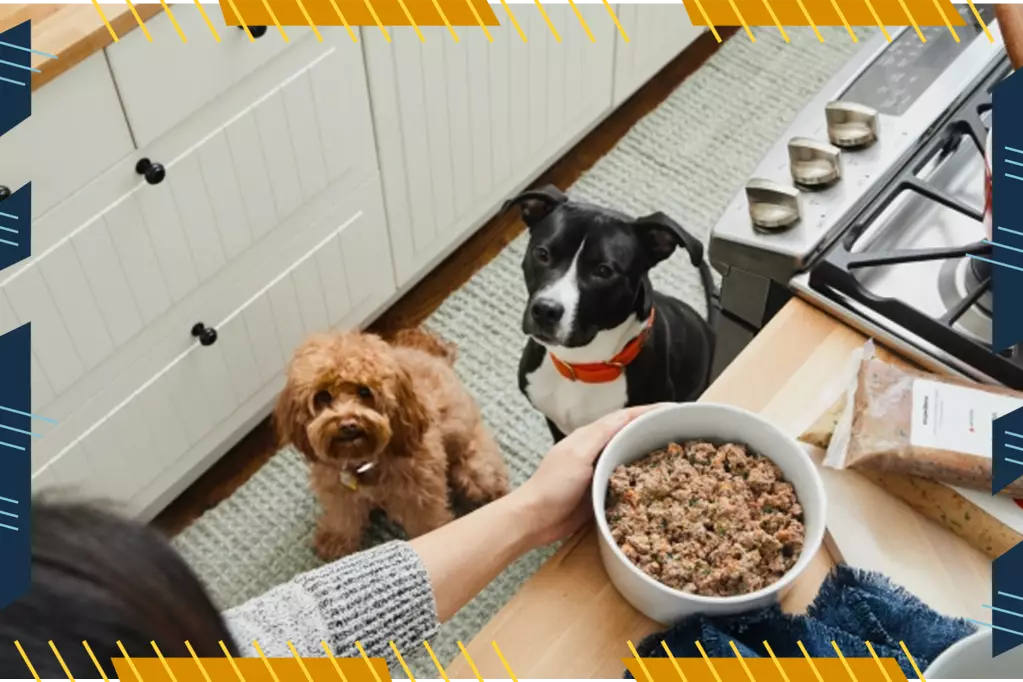 Αυτές οι υγιεινές τροφές για σκύλους είναι εγκεκριμένες από κτηνίατρο για να κρατούν το κουτάβι σας σε κορυφαίο σχήμα