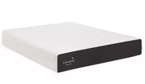 Cocoon Chill Matress