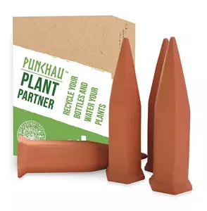 Terracotta Plant Waterer