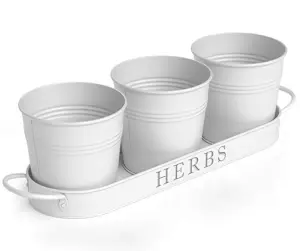 Barnyard Designs Herb Pots