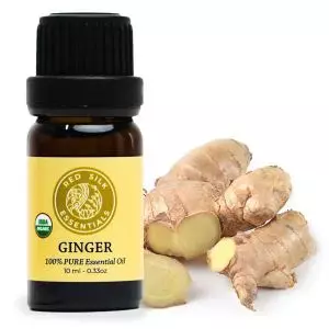 Red Silk Essentials Organic Ginger Root Oil Essential Oil