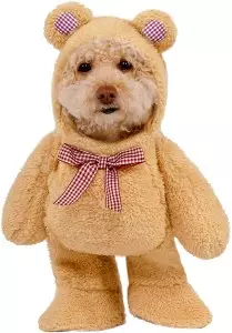 tafiya teddy bear Pet suit