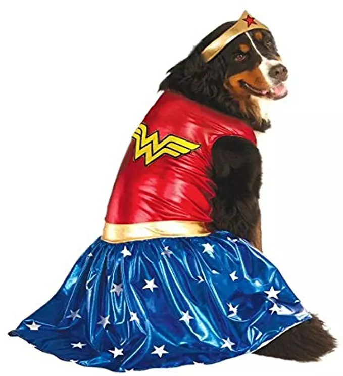 kostium dla psa Wonder Woman