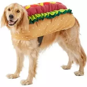 hot dog ja kissan puku, Halloween-asu koirille