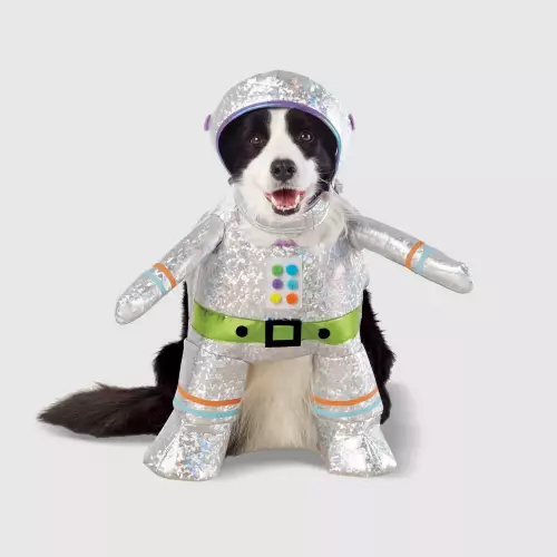 ロボット犬の衣装
