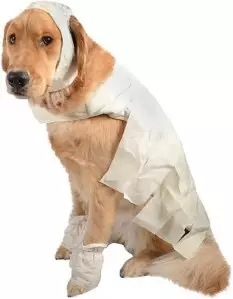 Target Mummy Dog Pet Halloween Costume