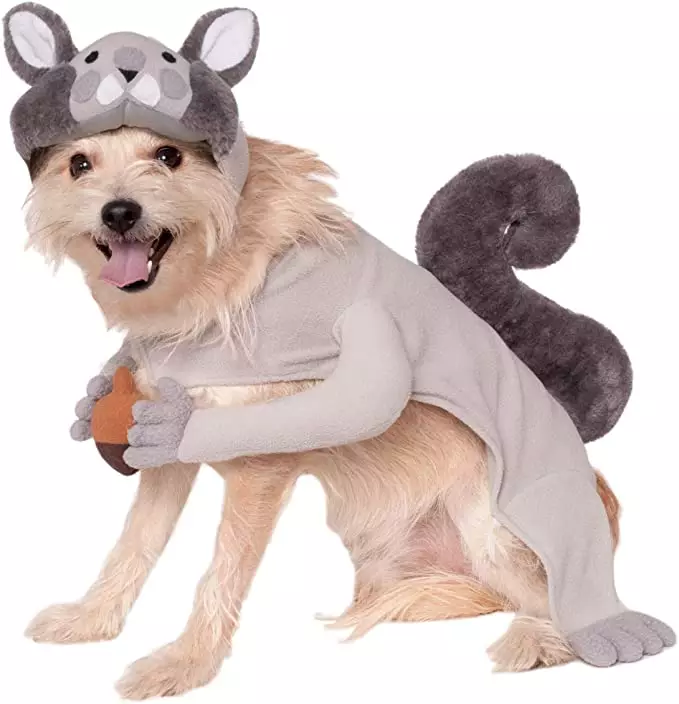 kostim vjeverica psa
