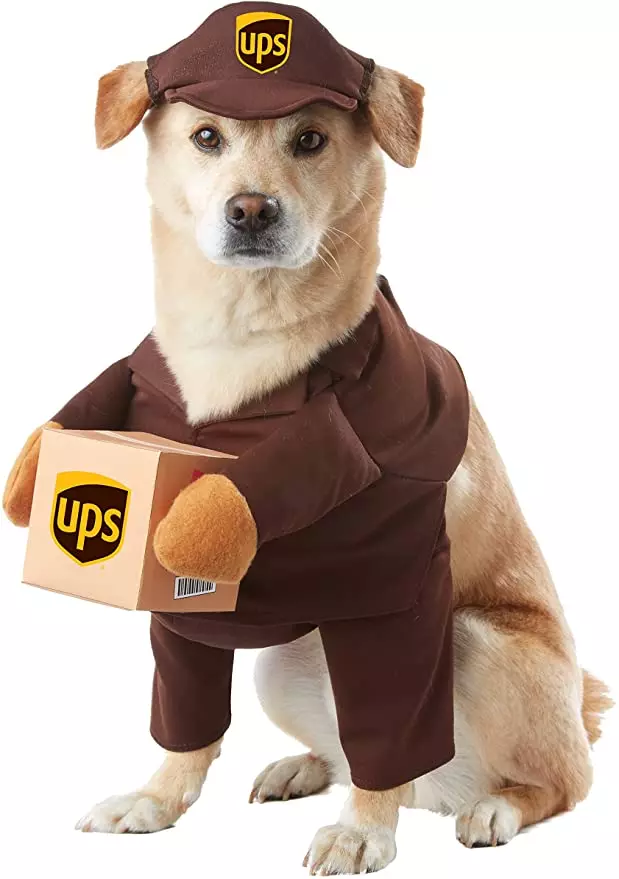 कुकुर UPS हेलोवीन पोशाक