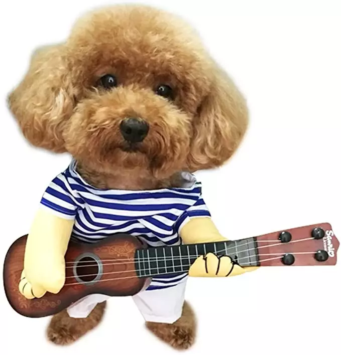 زي الكلب مع الغيتار ، زي هالوين للكلاب
