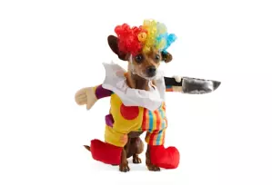 Bootique Ghost Town Clown Pet Illusion Costume