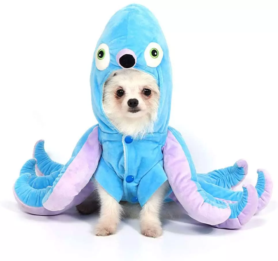 kostim psa hobotnice za Noć vještica