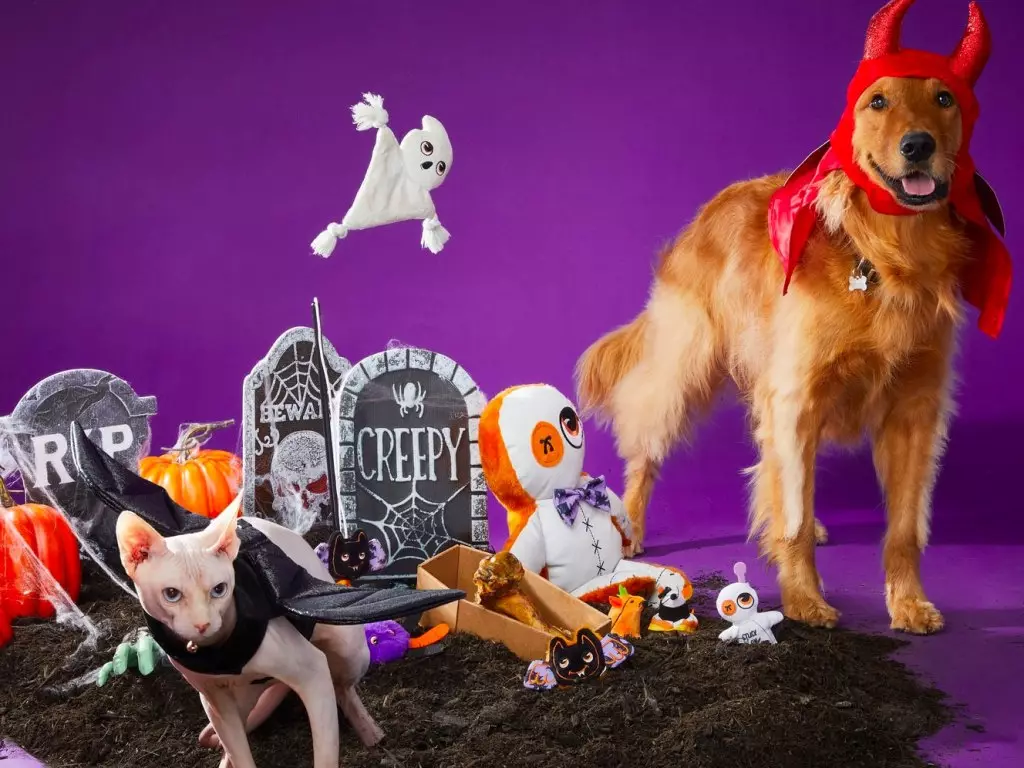 Petco's Halloween Бутикинен мыкты костюмдар менен Хэллоуин Рухуна кириңиз