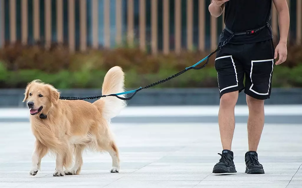 Tali Anjing Bebas Tangan $19 Ini Berjalan Jauh Dengan Anjing Yang Menarik Boleh Ditanggung (untuk Anda Berdua)
