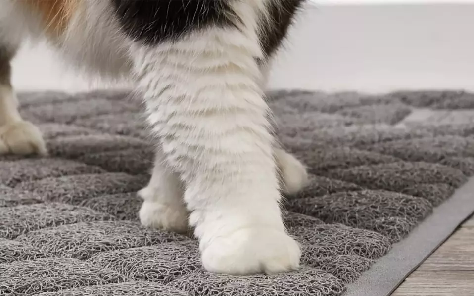 alfombra para gatos, esteras para gatos