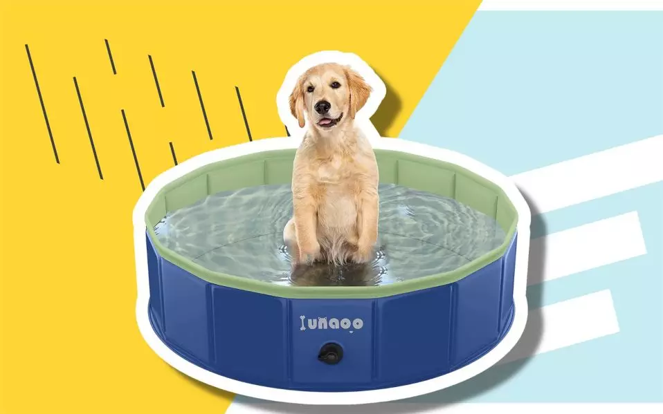 Katlanabilir köpek havuzu