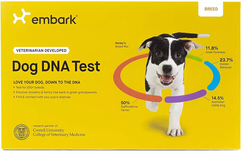 uzsākt suņa DNS testu