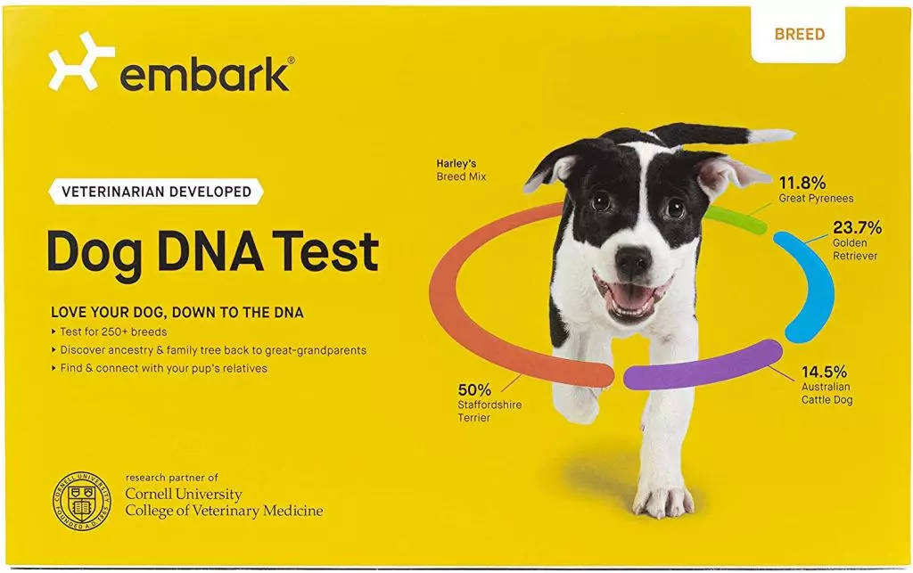 starten Hond DNA Test