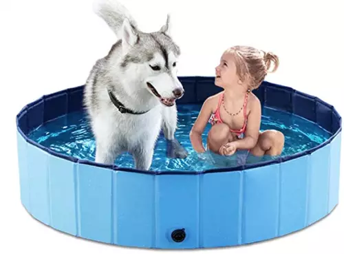 Jasonwell Dog Pool, ọdọ mmiri nkịta kacha mma