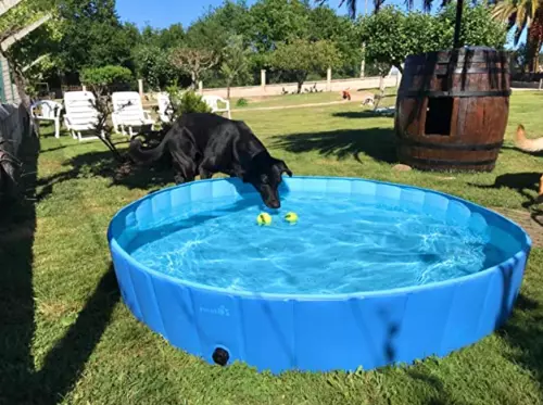 Piscina per cani Pecute