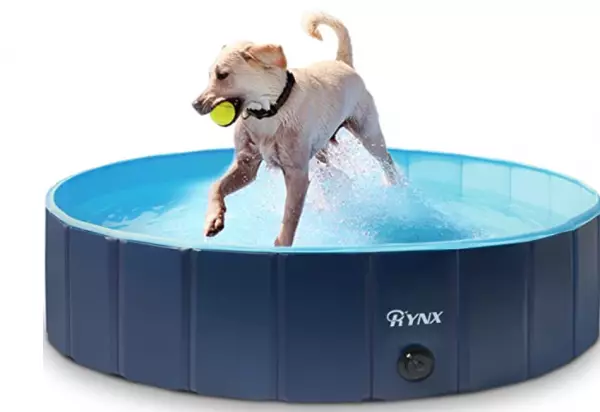 RYNX Opklapber Dog Pool