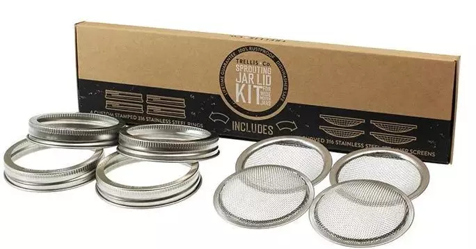 sprouting lid jar kit