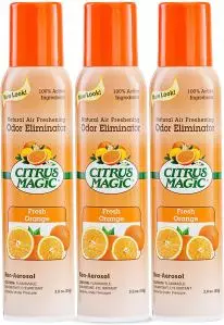 air freshener citrus magic