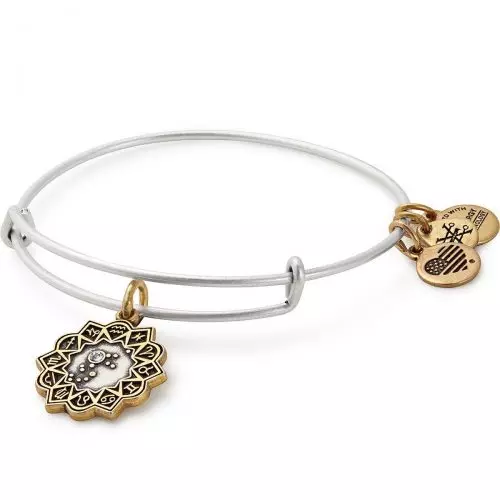 Alex + Ani Two Tone Charm Bangle