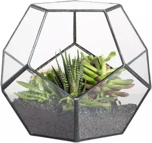 NYCP Black Glass geometreschen Terrarium