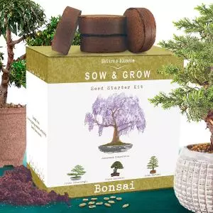 Doğanın Çiçeği Bonsai Ağacı Seti