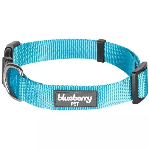 Blueberry Classic Dog Collar