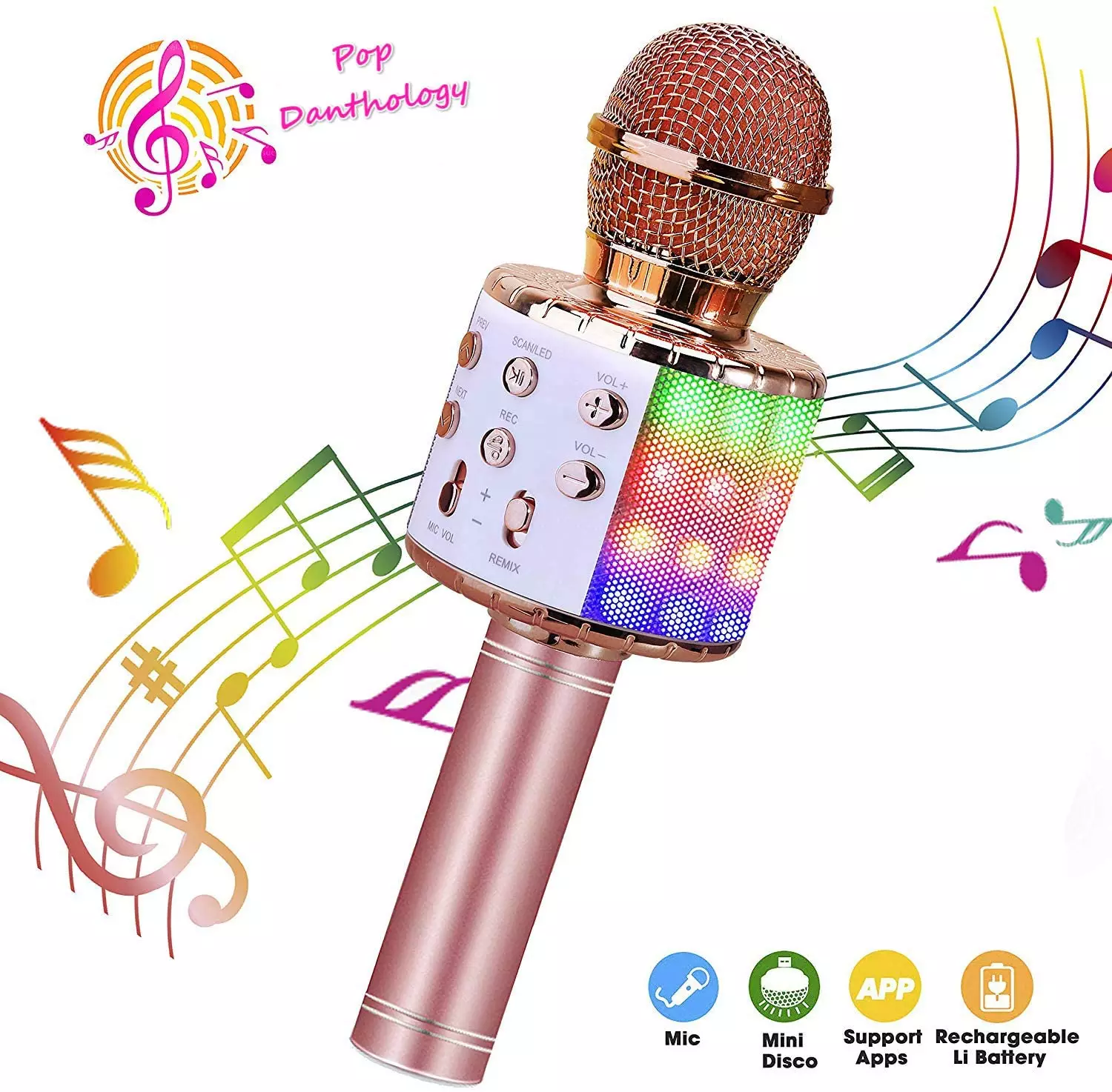 ShinePick Wireless Bluetooth Karaoke Microphone