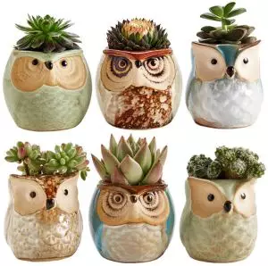 ຂອງຂວັນວັນຄຣິດສະມາດສໍາລັບເພື່ອນຮ່ວມງານ owl planters