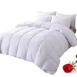 pangalusna handap comforter downcool
