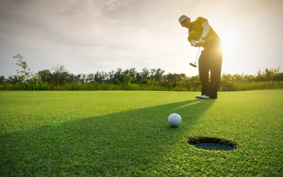 Beste Golf-Shirts