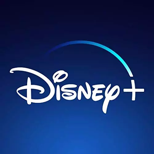 hadiah terbaik untuk pria, logo Disney Plus