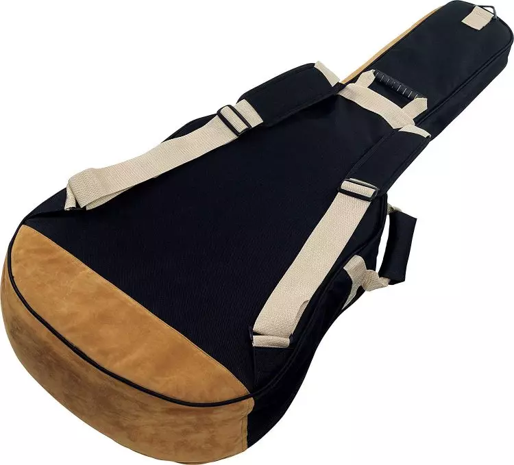 इबनेज़ गिटार बैग