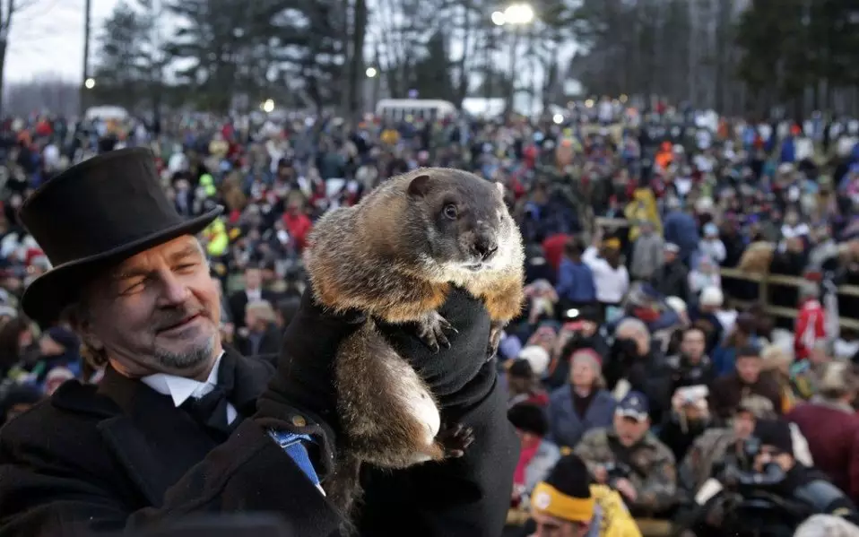 ഗ്രൗണ്ട്ഹോഗ് ഡേ Punxsutawney Phil