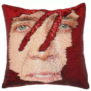 amazon nicolas cage pillow එකේ අමුතුම දේවල්