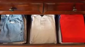 organización del armario cómo carpeta de camisas