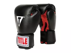 Класичні боксерські рукавички TITLE
