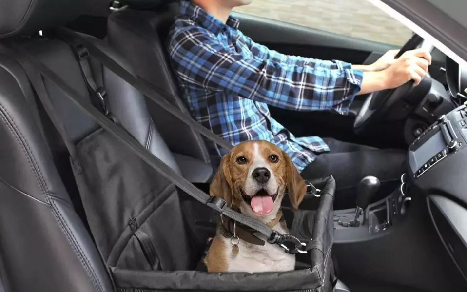 beste hunde bilsete booster sikkerhet