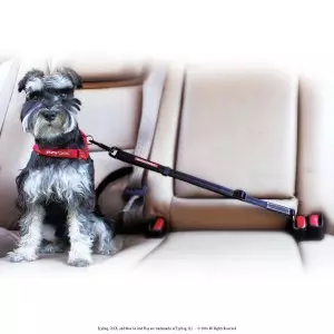 Pimp My Ride, Pet Edition: 7 nuovi accessori per auto per i proprietari di animali domestici 9968_6