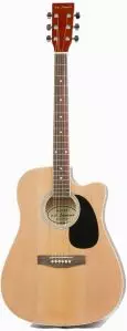 Jameson Acoustic Guitar