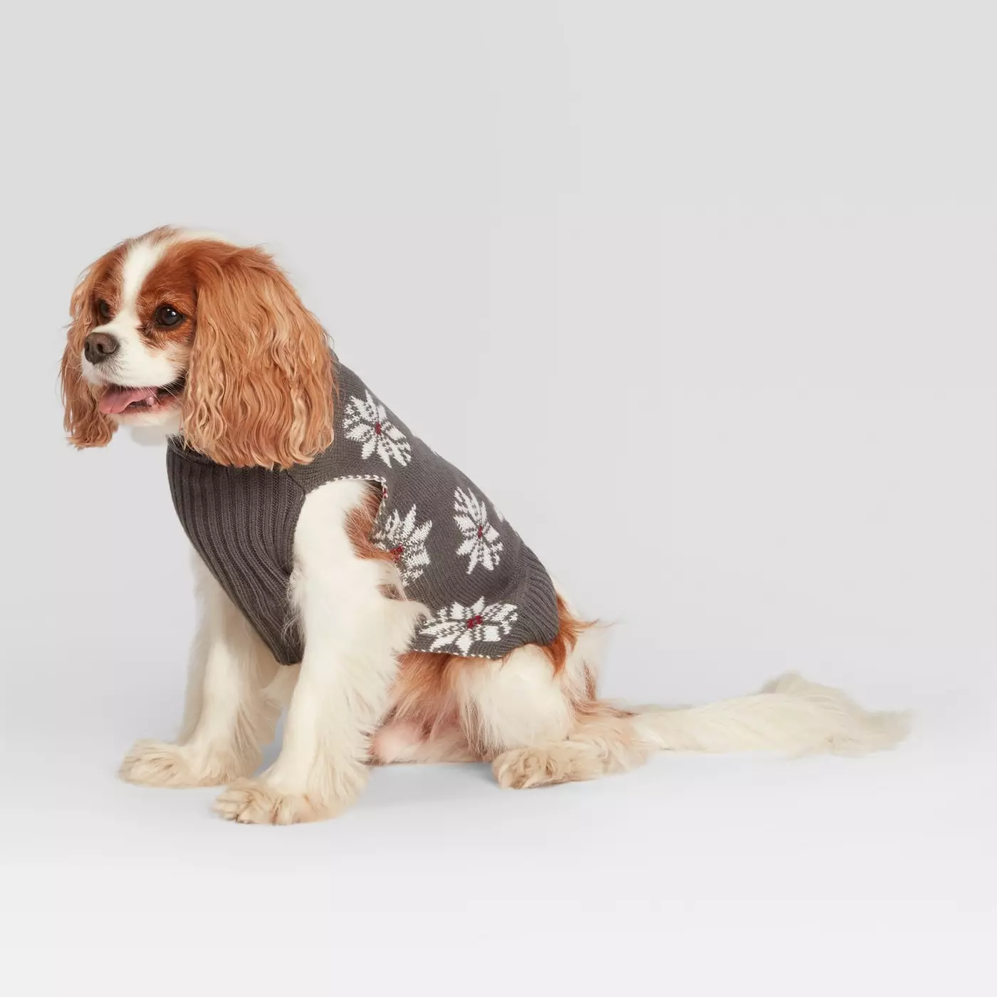 najlepszy świąteczny sweterek dla psa